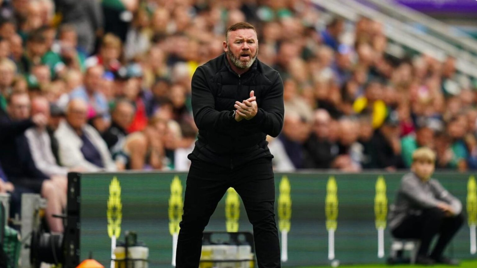 Chris Dunlavy: Be careful what Roo wish for - The Non-League Football Paper